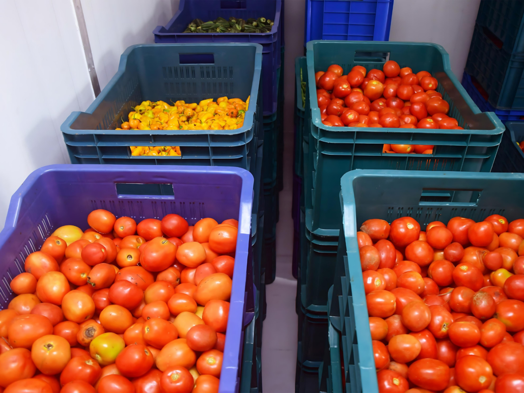 Production of Plastic Returnable Crates. – ColdHubs